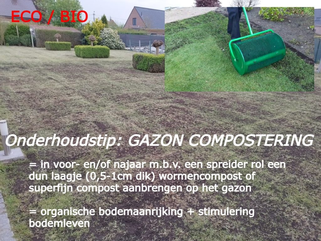 Hoe duurzaam is uw gazon? Beloopbaar groen vs biodivers gazon